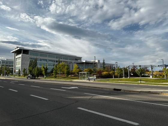 Oilers Now with Bob Stauffer | Global News