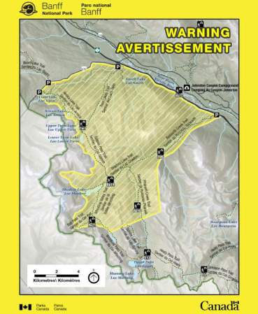 Parks Canada issues bear warning for popular hiking area in Banff ...