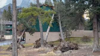 Edson, AB Weather | Forecast Hourly Conditions - Hourly Weather Predictions