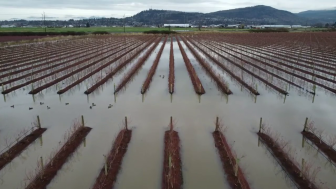 Delta, BC Weather | Forecast Conditions - Weather Predictions & Radar