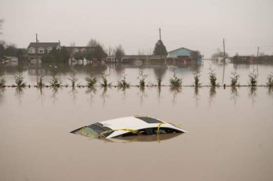 Noor Ra'fat Ibrahim Global News | News, Videos & Articles