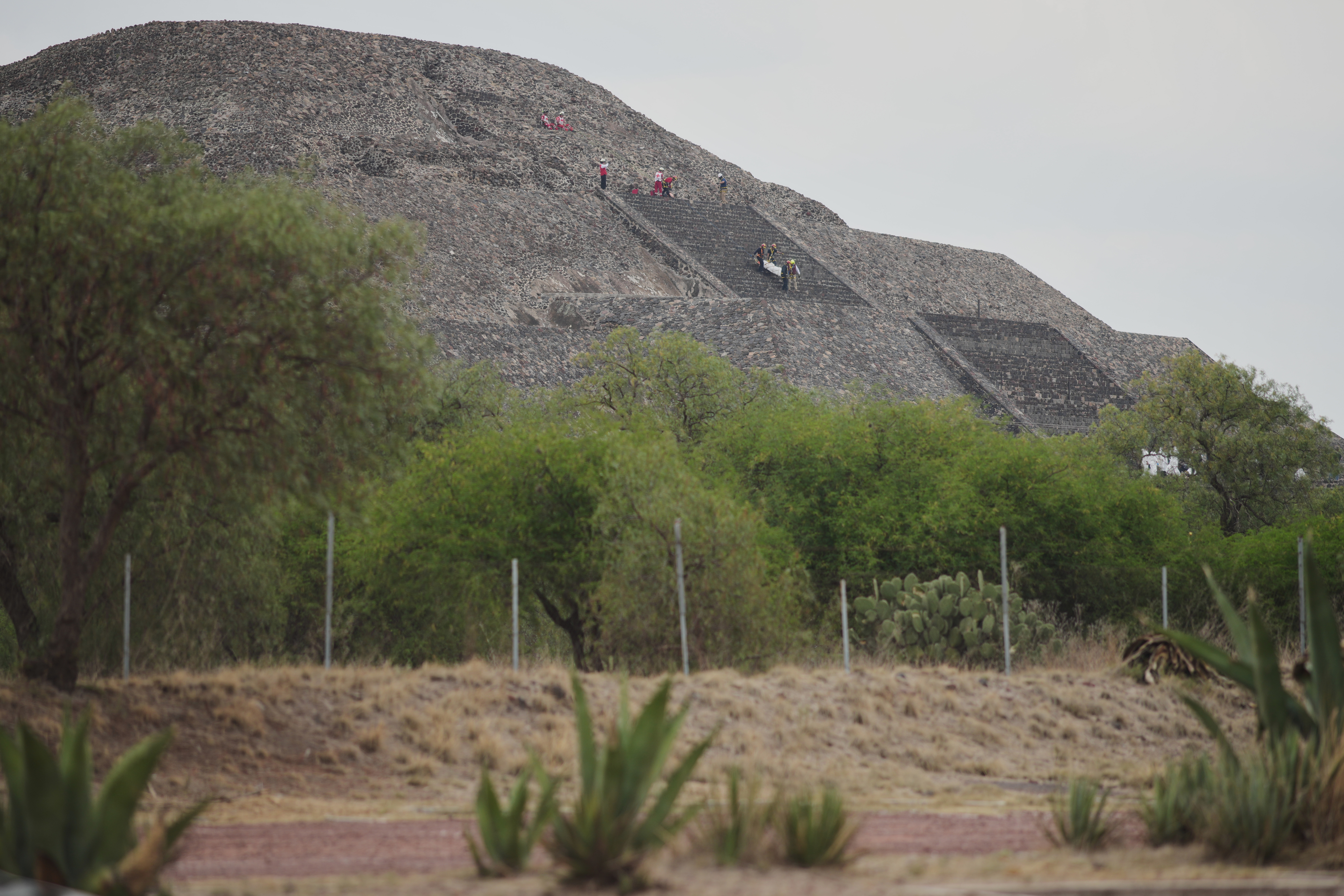 Shooting that killed Canadian in Mexico was planned attack, officials ...