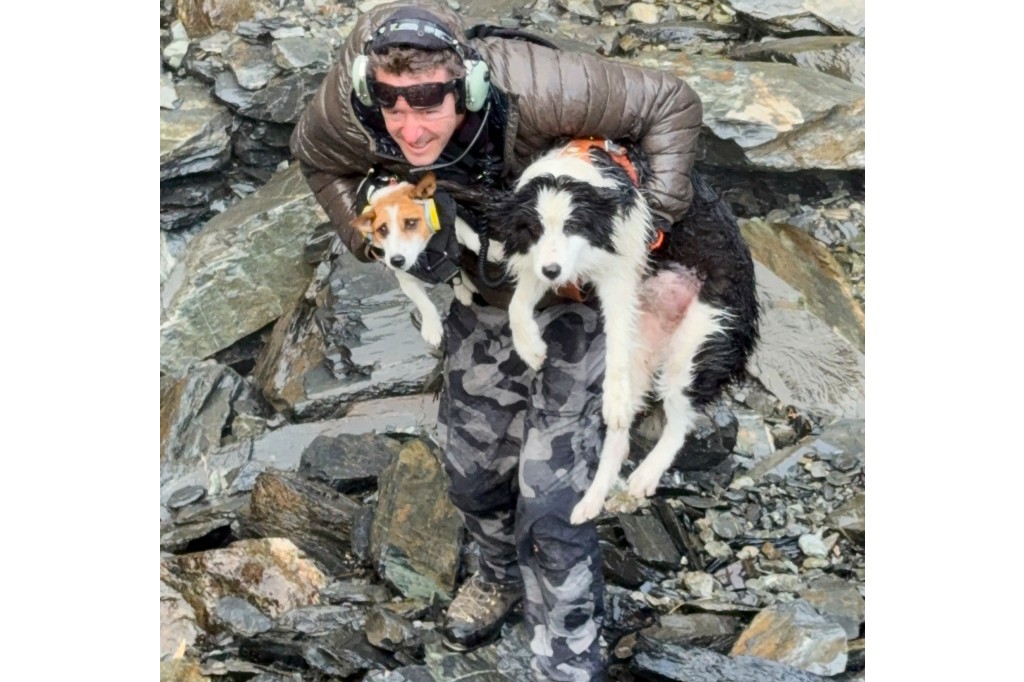 Lost dog reunited with owner, rescued by helicopter after week in New ...
