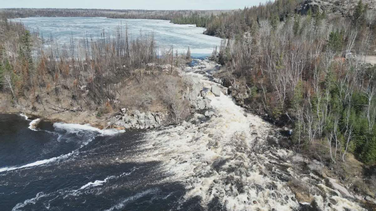 Impact of Nopiming Provincial Park, Man. wildfire lingers 1 year later ...