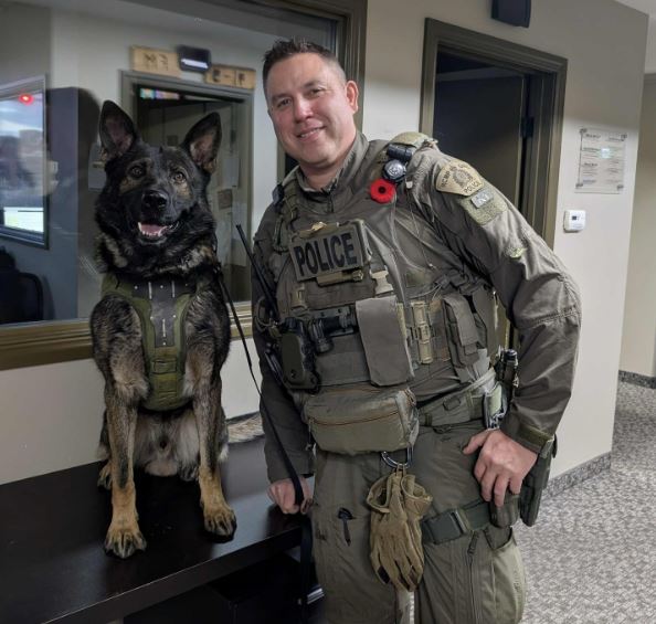 RCMP police dog injured while tracking armed robbery suspect in High ...