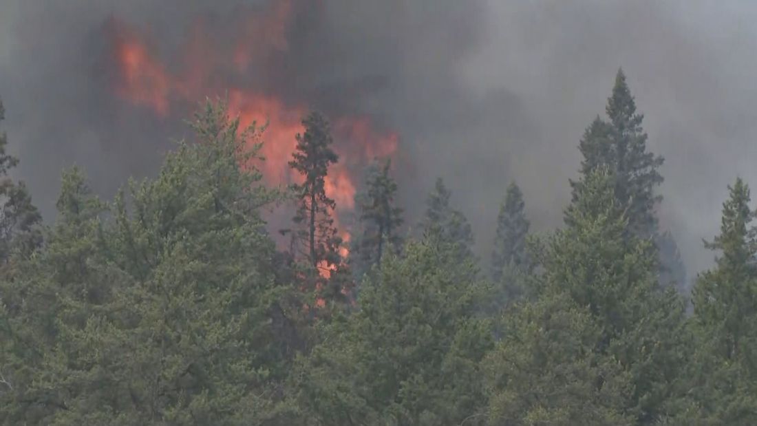 Wildfire fighting continues in Saskatchewan as blaze near Prince Albert ...